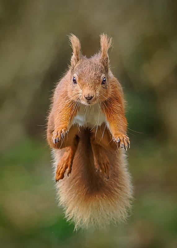 Pictorial Competition | Hoylake Photographic Society